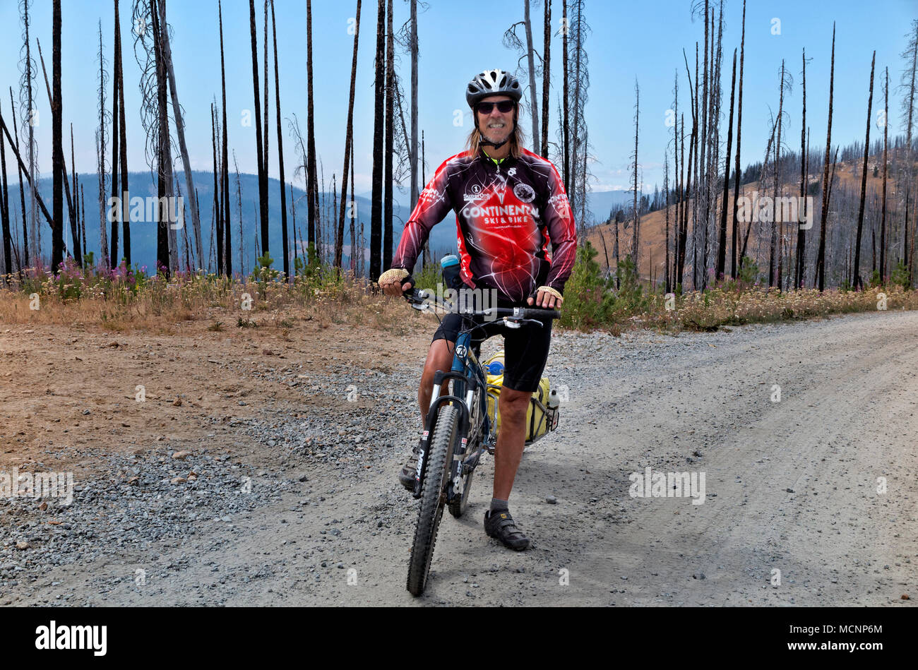 Loomis state forest hi-res stock photography and images - Alamy