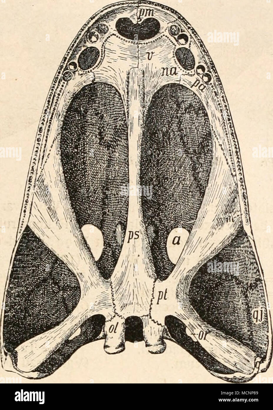 Vorne unten hi-res stock photography and images - Alamy