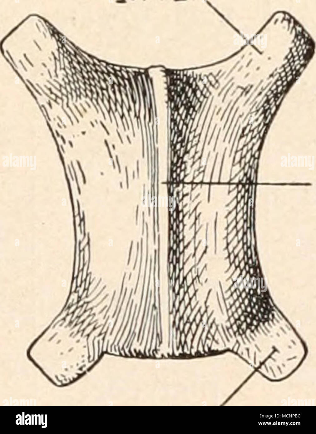 Wirbel d hi-res stock photography and images - Alamy