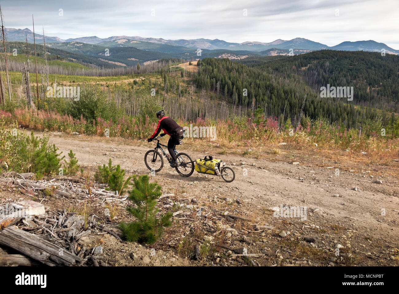WA15255-00...WASHINGTON - Descending into the Toats Coulee Creek ...