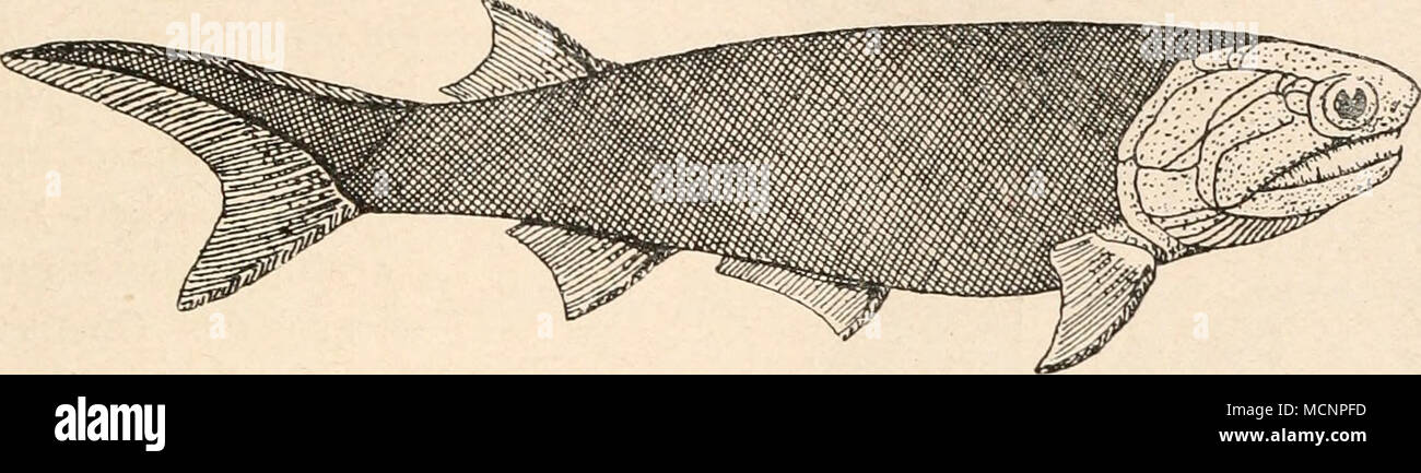 Nordschottland hi-res stock photography and images - Alamy