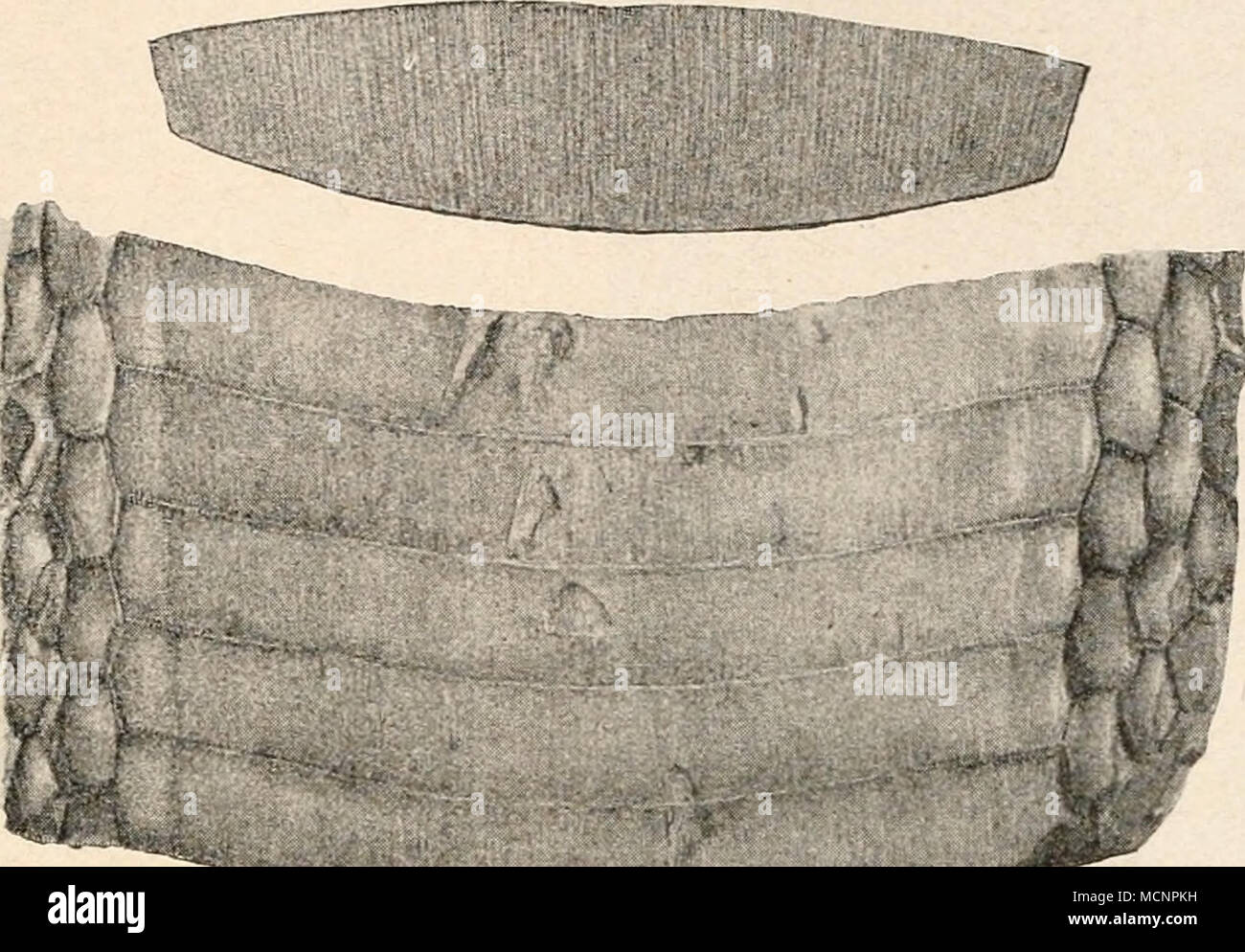 Unsicherer hi-res stock photography and images - Alamy