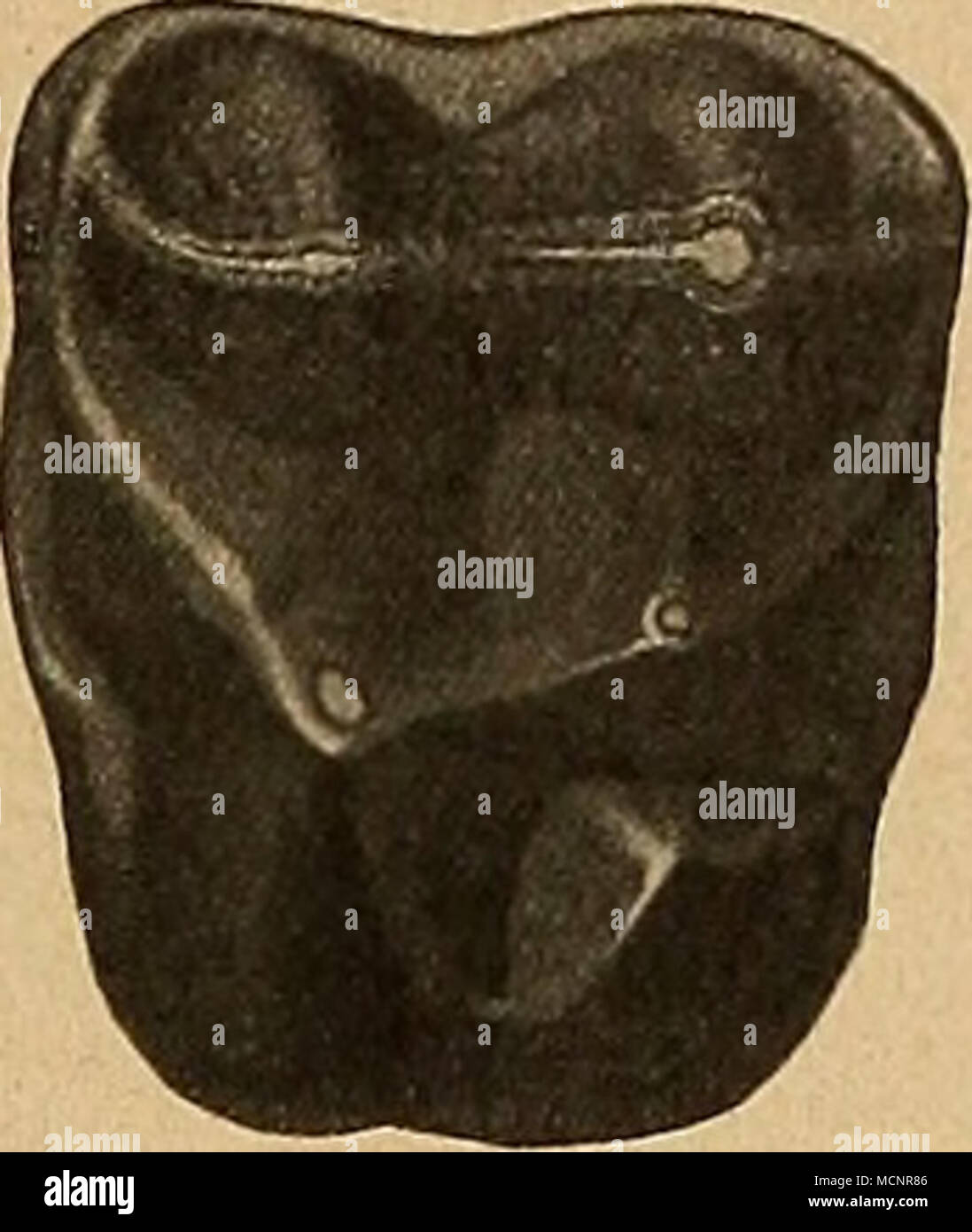 . Dreieck zusammengeschlossen, in welchem man unschwer den alten ...