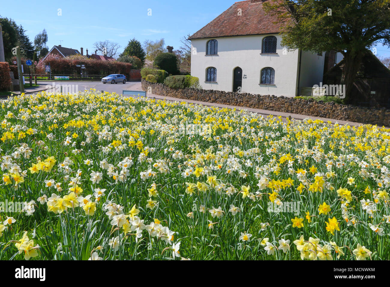 Cobham village hi-res stock photography and images - Alamy