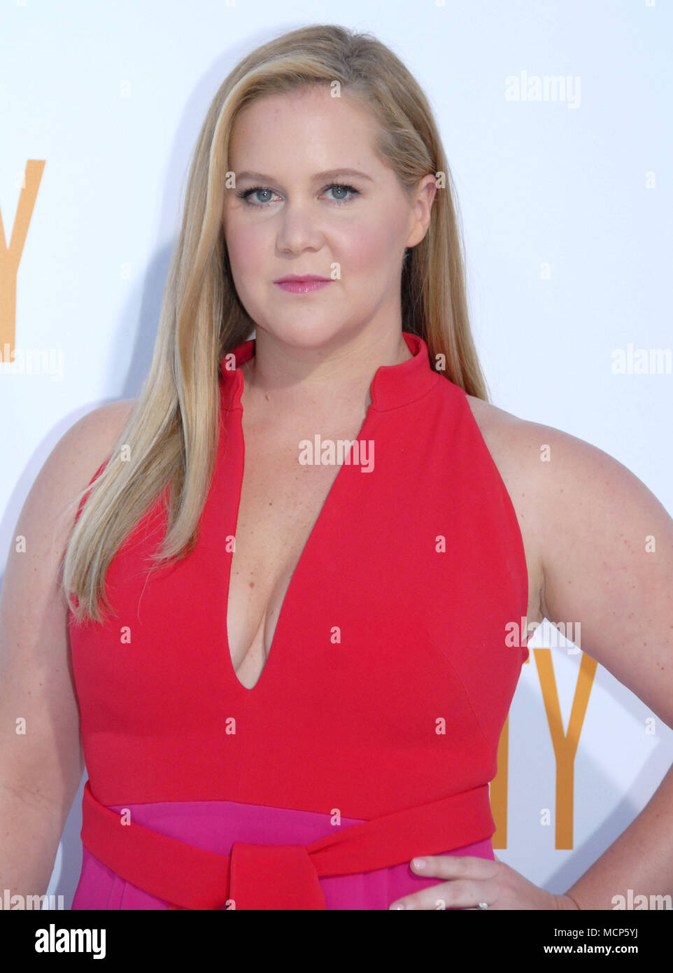 Los Angeles, USA. 17th Apr, 2018. Actress/comedian Amy Schumer attends ...