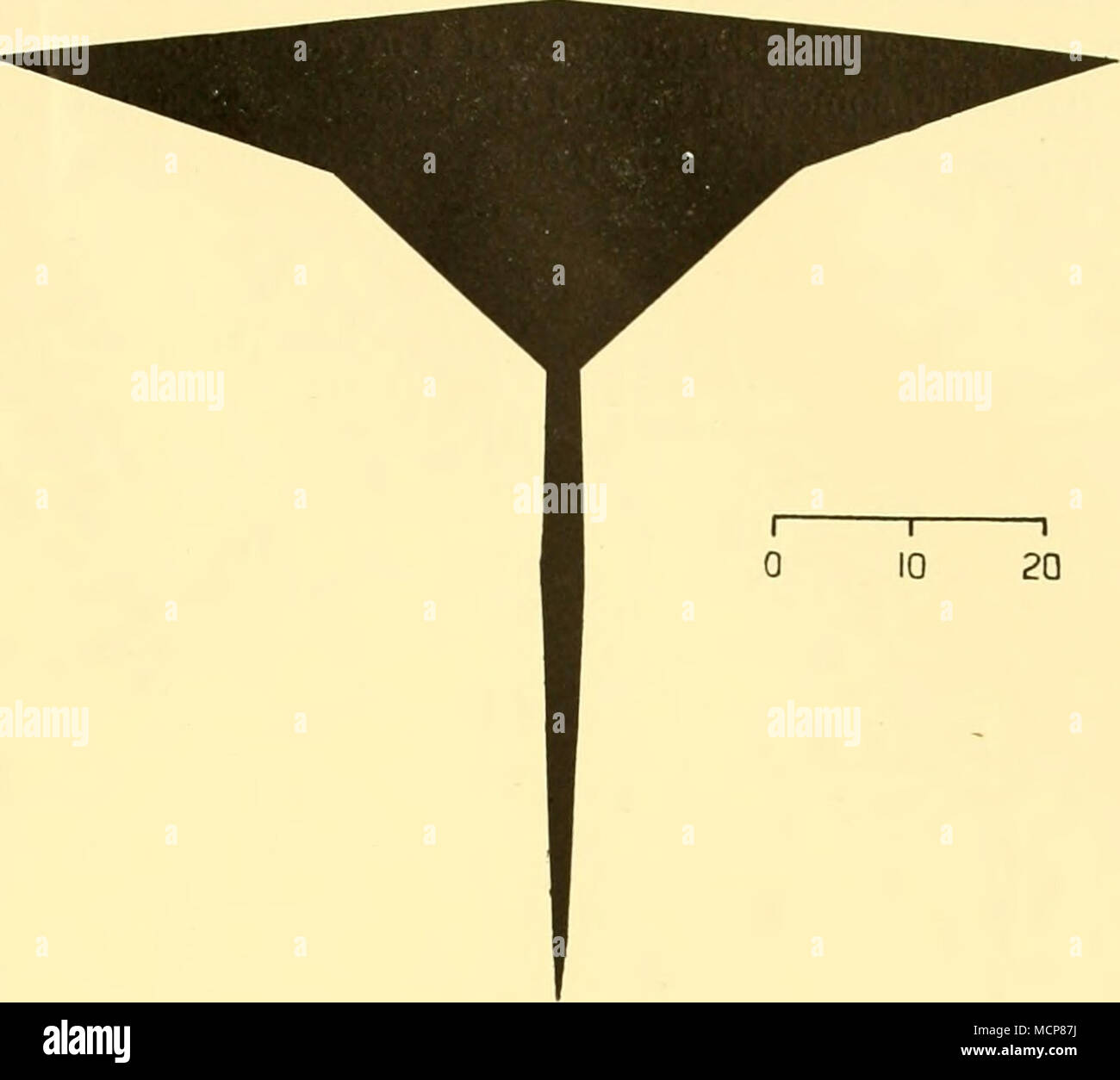. 1000 -I Fig. 5. Depth distribution of Pneumodermopsis paucidens at ...