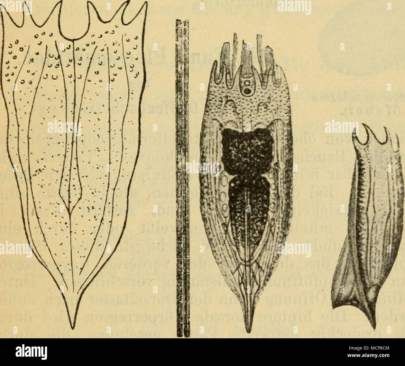 456 is seen hi-res stock photography and images - Alamy