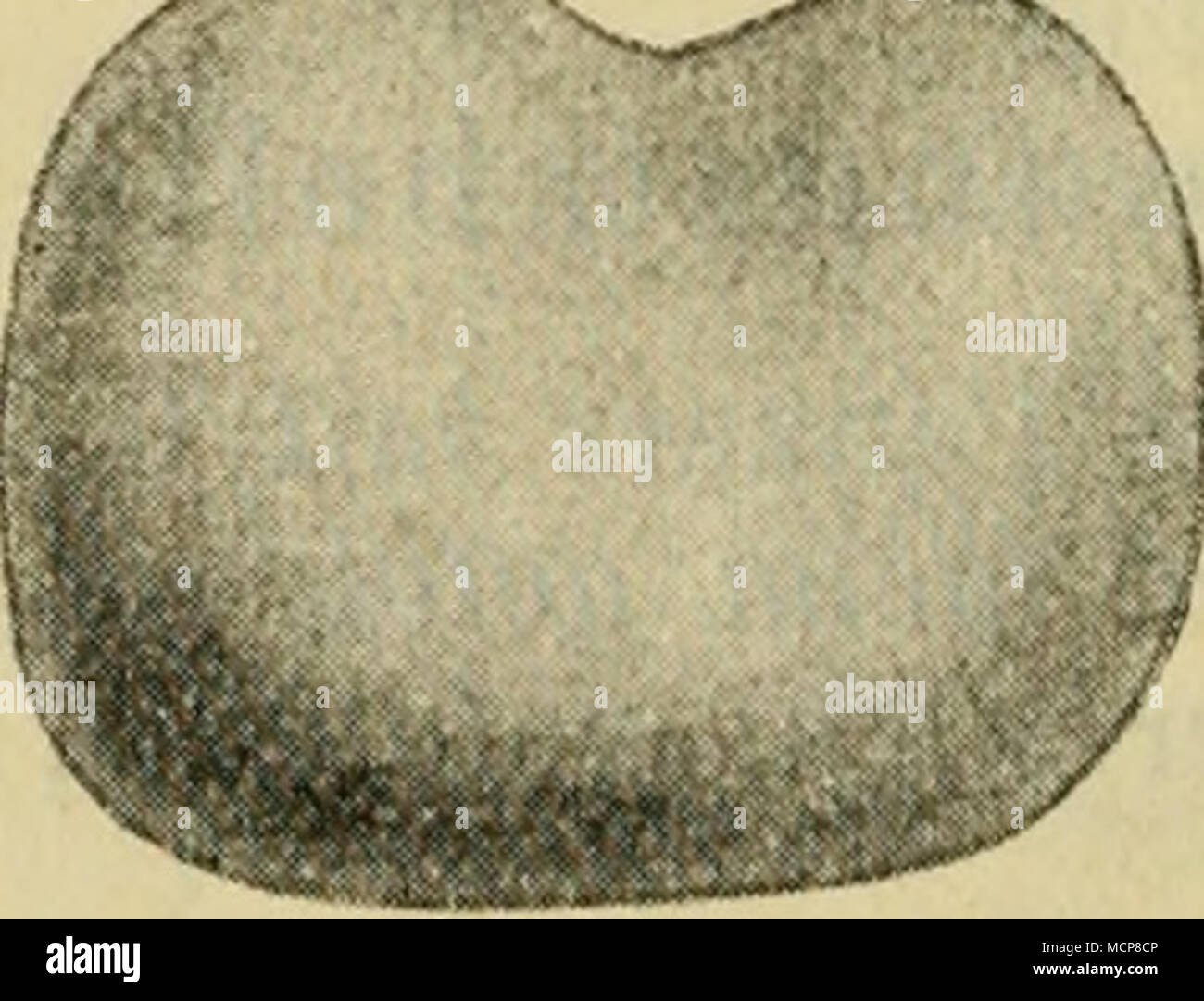 Felderung hi-res stock photography and images - Alamy