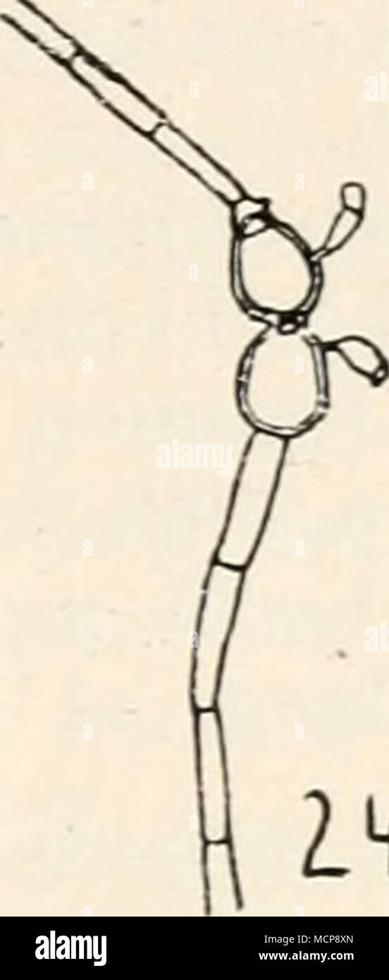 . lh°i IHl a b 151 n Stock Photo - Alamy