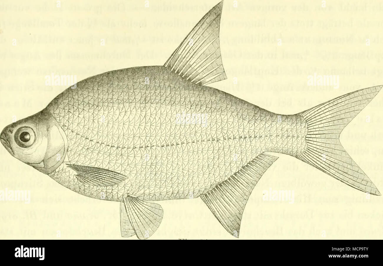 Ansteigend hi-res stock photography and images - Alamy