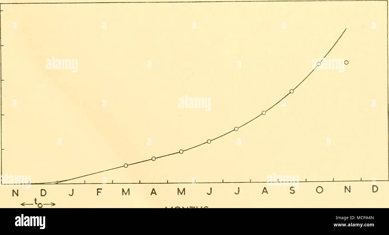 . MONTHS Text-fig. 7. Foetal growth in length of northern hemisphere ...