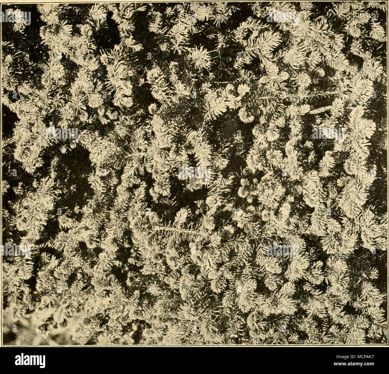 Bxi hi-res stock photography and images - Alamy