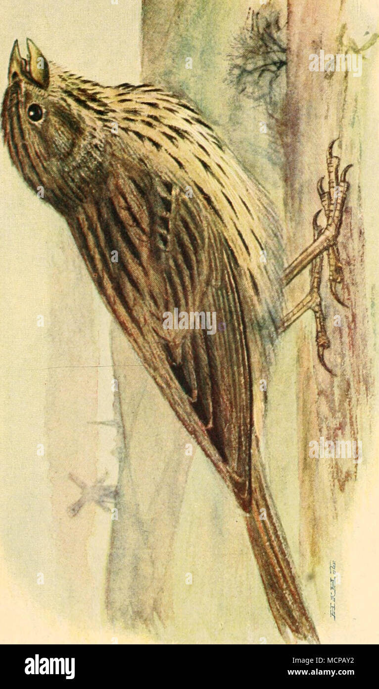 . O t C3 - C u O Stock Photo - Alamy