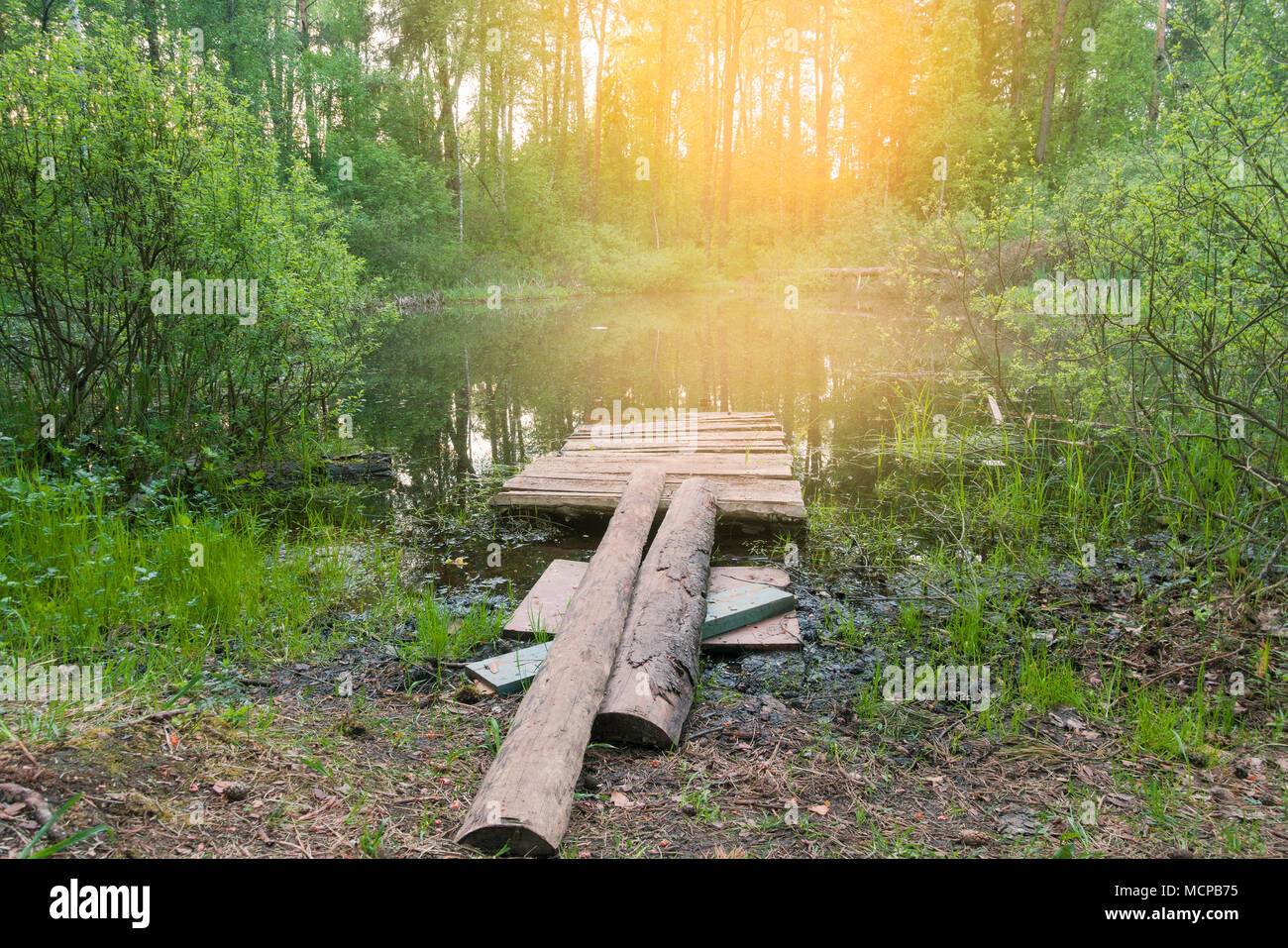 Beautiful lake in wild forest. Fishing pier on lake Stock Photo - Alamy