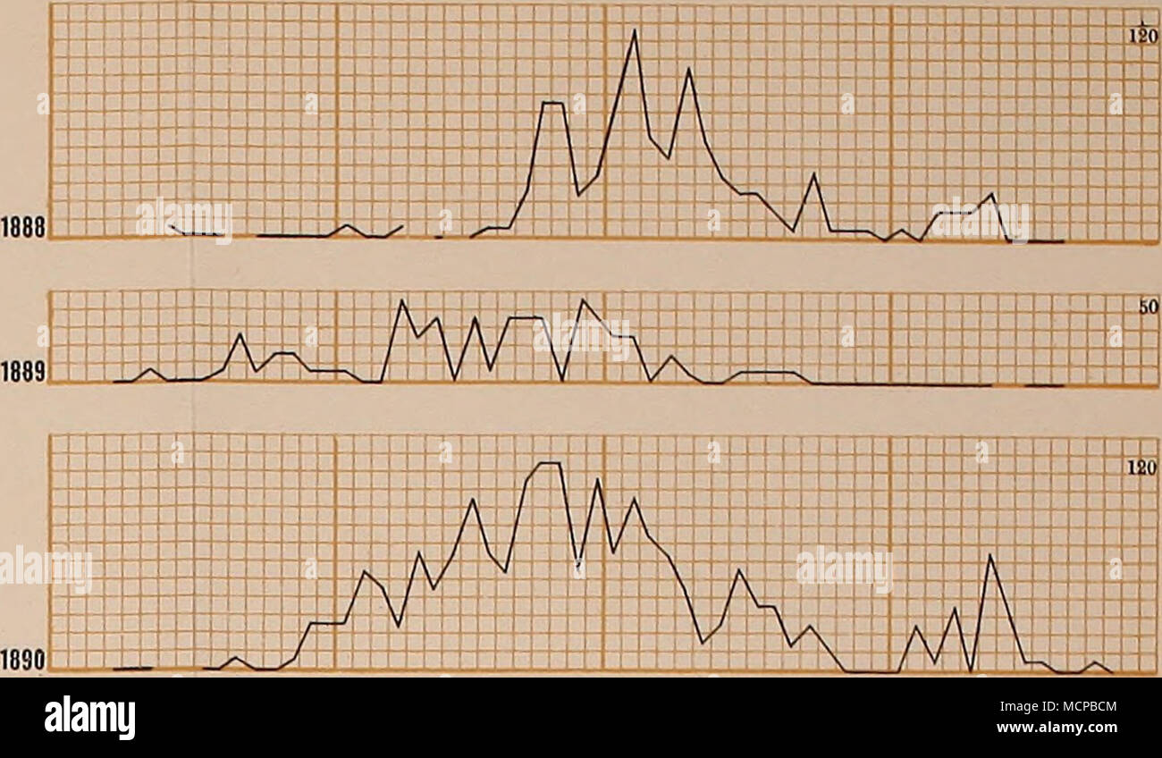 Vvvv hi-res stock photography and images - Alamy