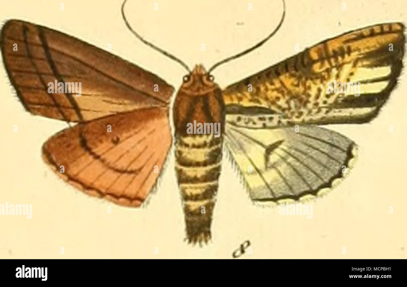 Eii r hi-res stock photography and images - Alamy