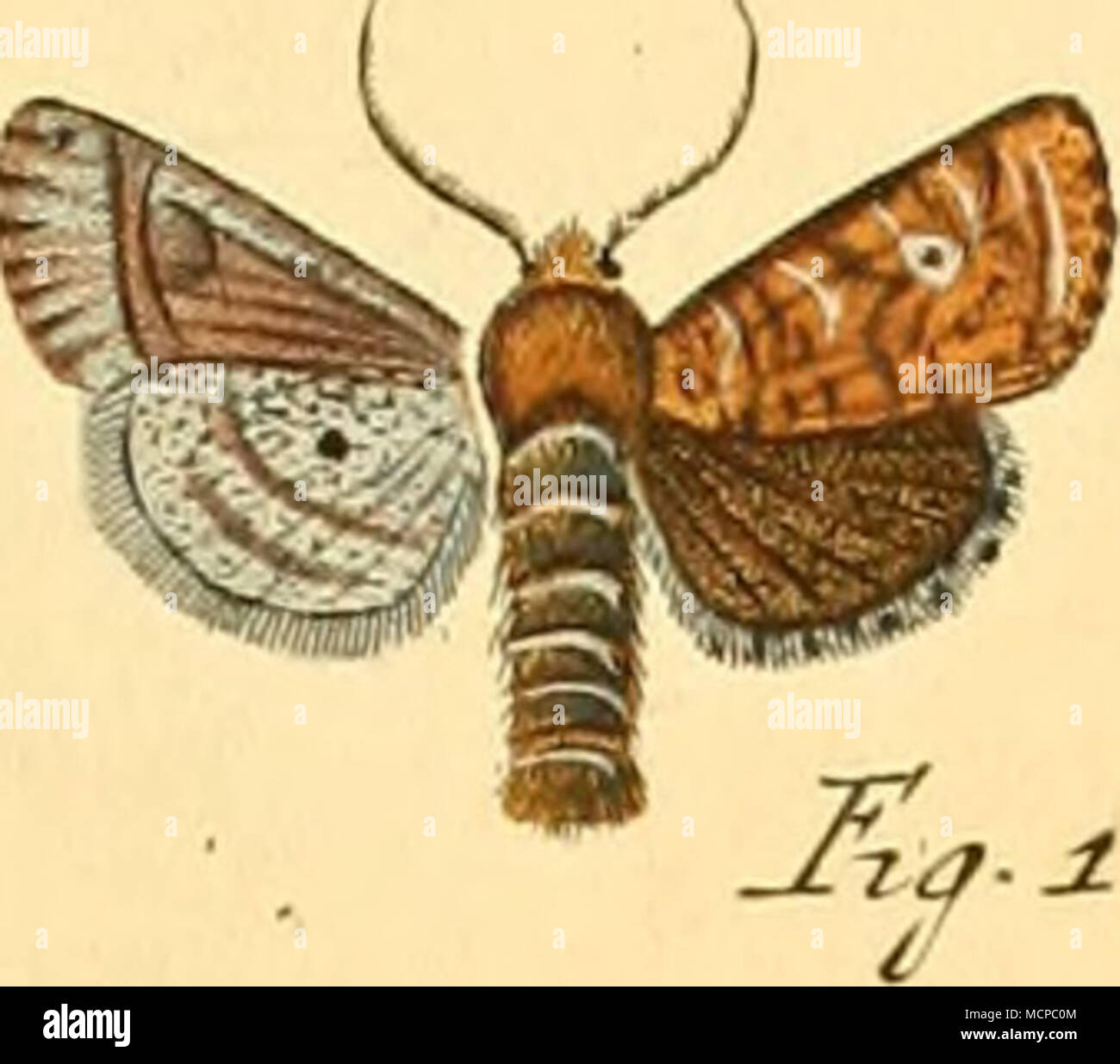 Xtj hi-res stock photography and images - Alamy