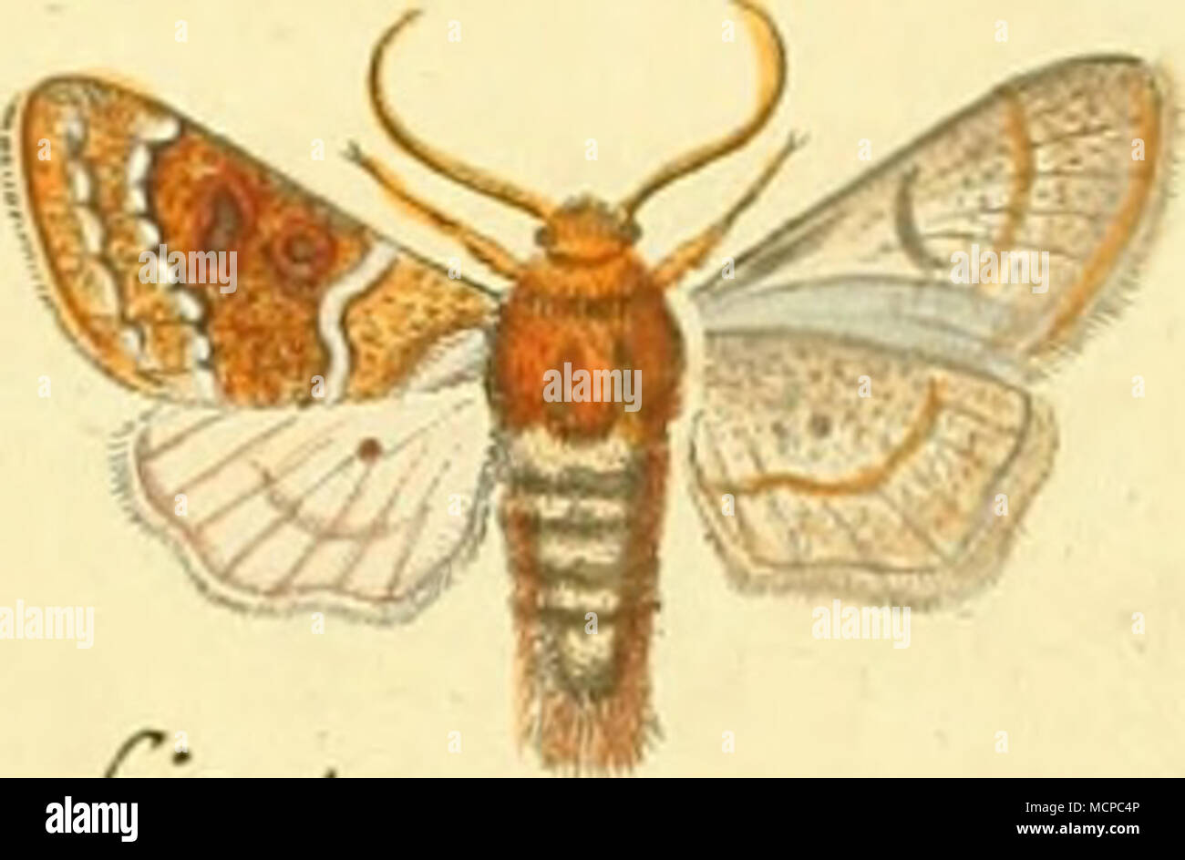 Afy hi-res stock photography and images - Alamy