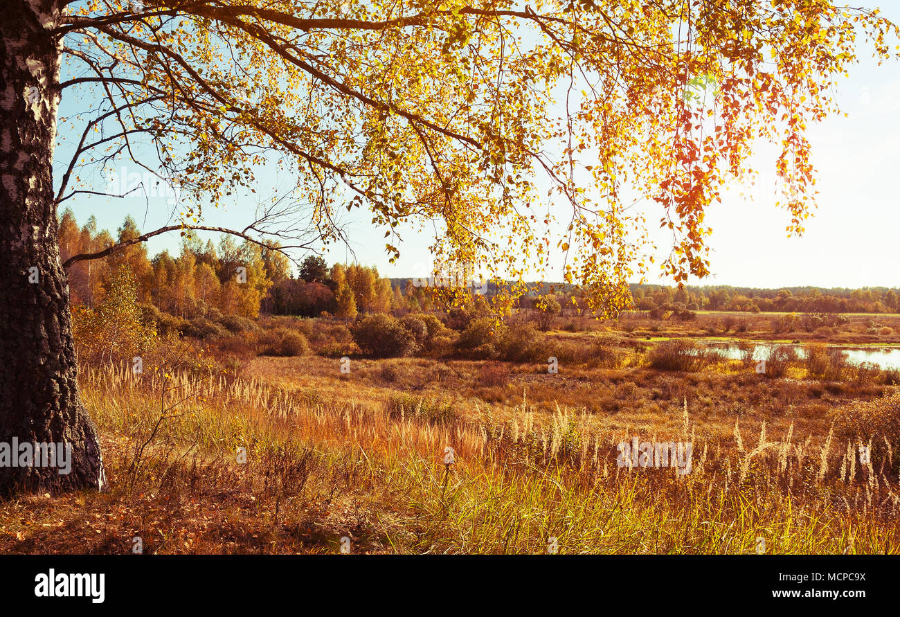 Siberia nature hi-res stock photography and images - Alamy