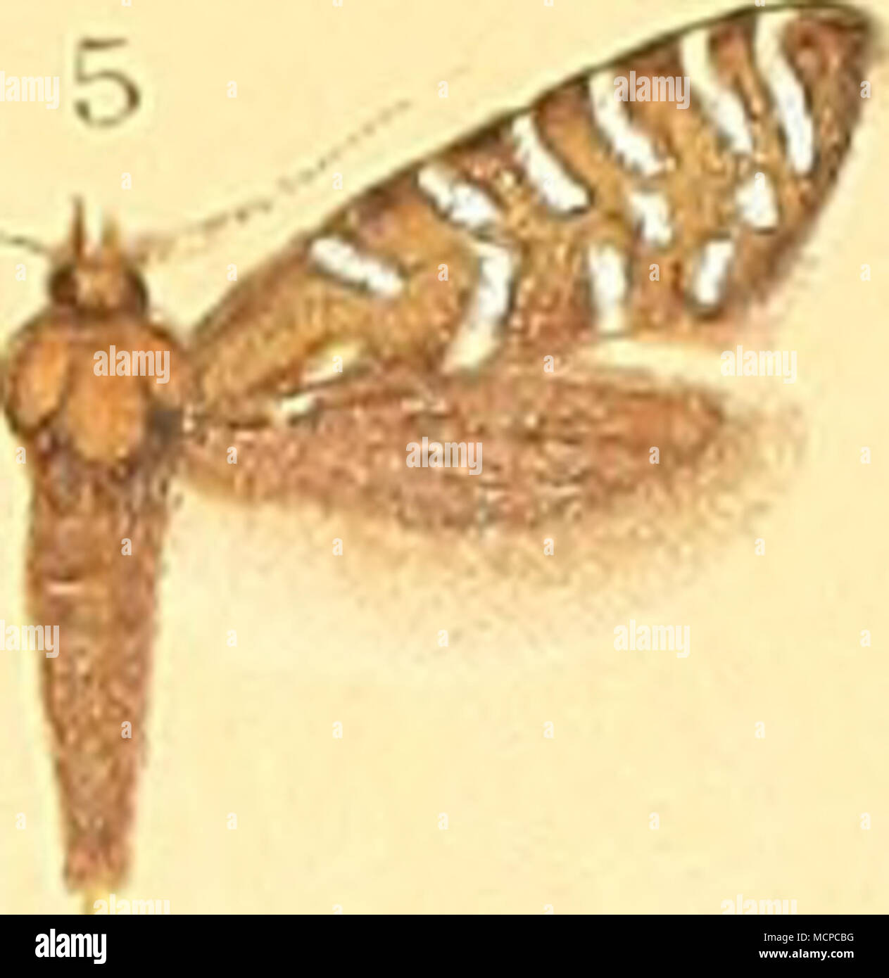 Jgy hi-res stock photography and images - Alamy