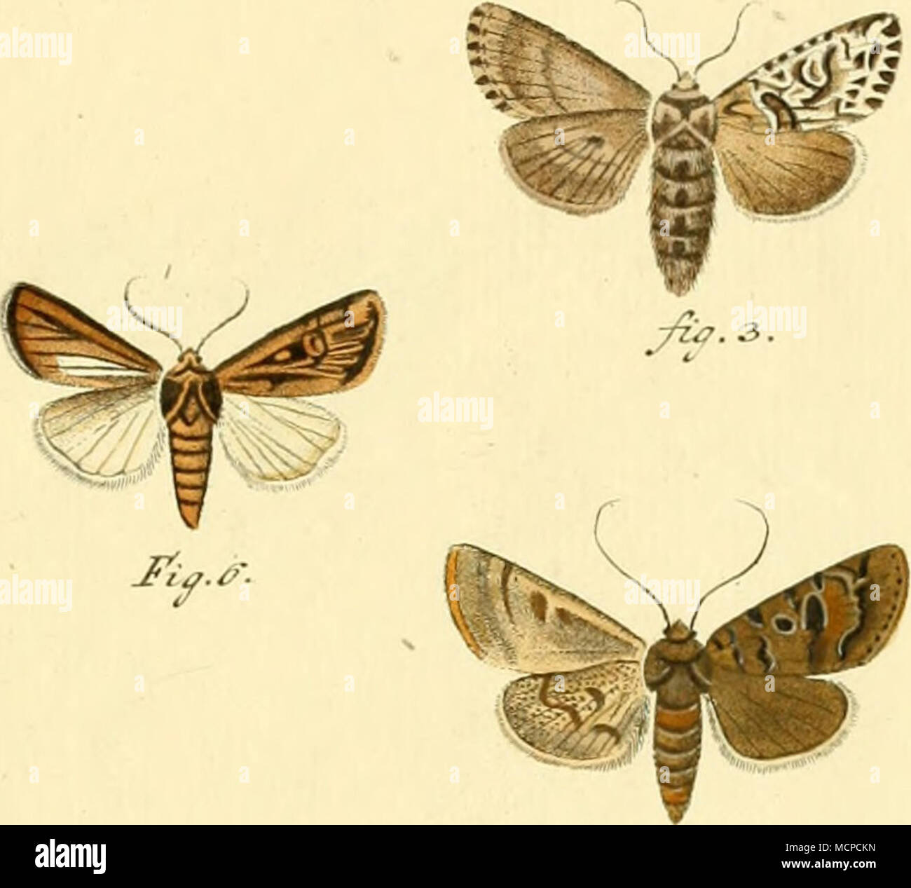 Iuf hi-res stock photography and images - Alamy