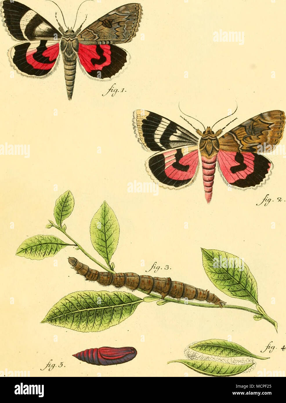 Euroi hi-res stock photography and images - Alamy