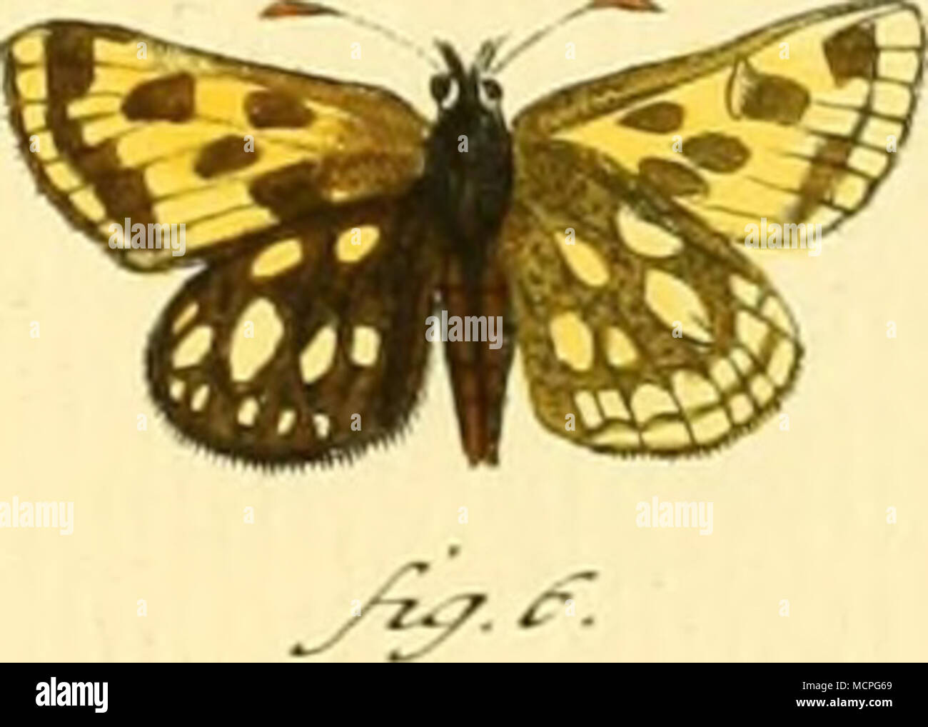 Eiar hi-res stock photography and images - Alamy