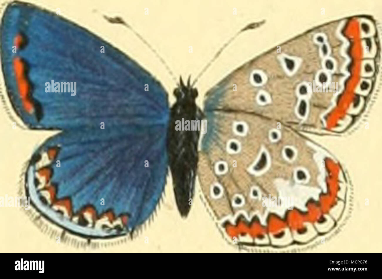 . yi$'-Z. y^-i Stock Photo - Alamy