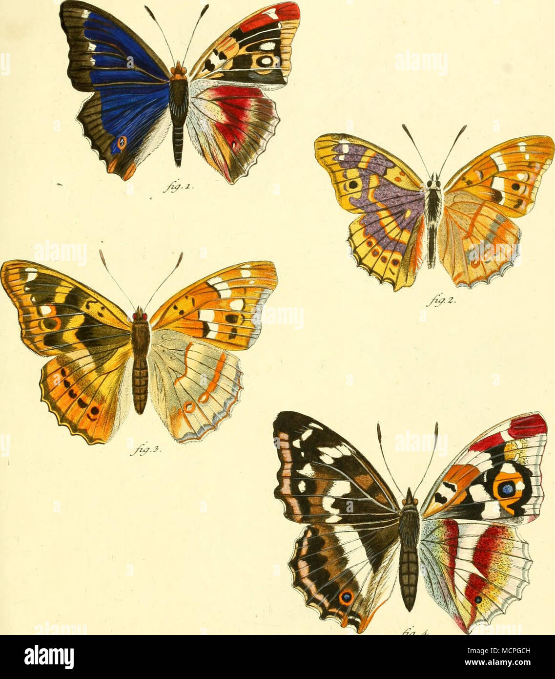 . J^-^- Papil •• exirop Stock Photo - Alamy