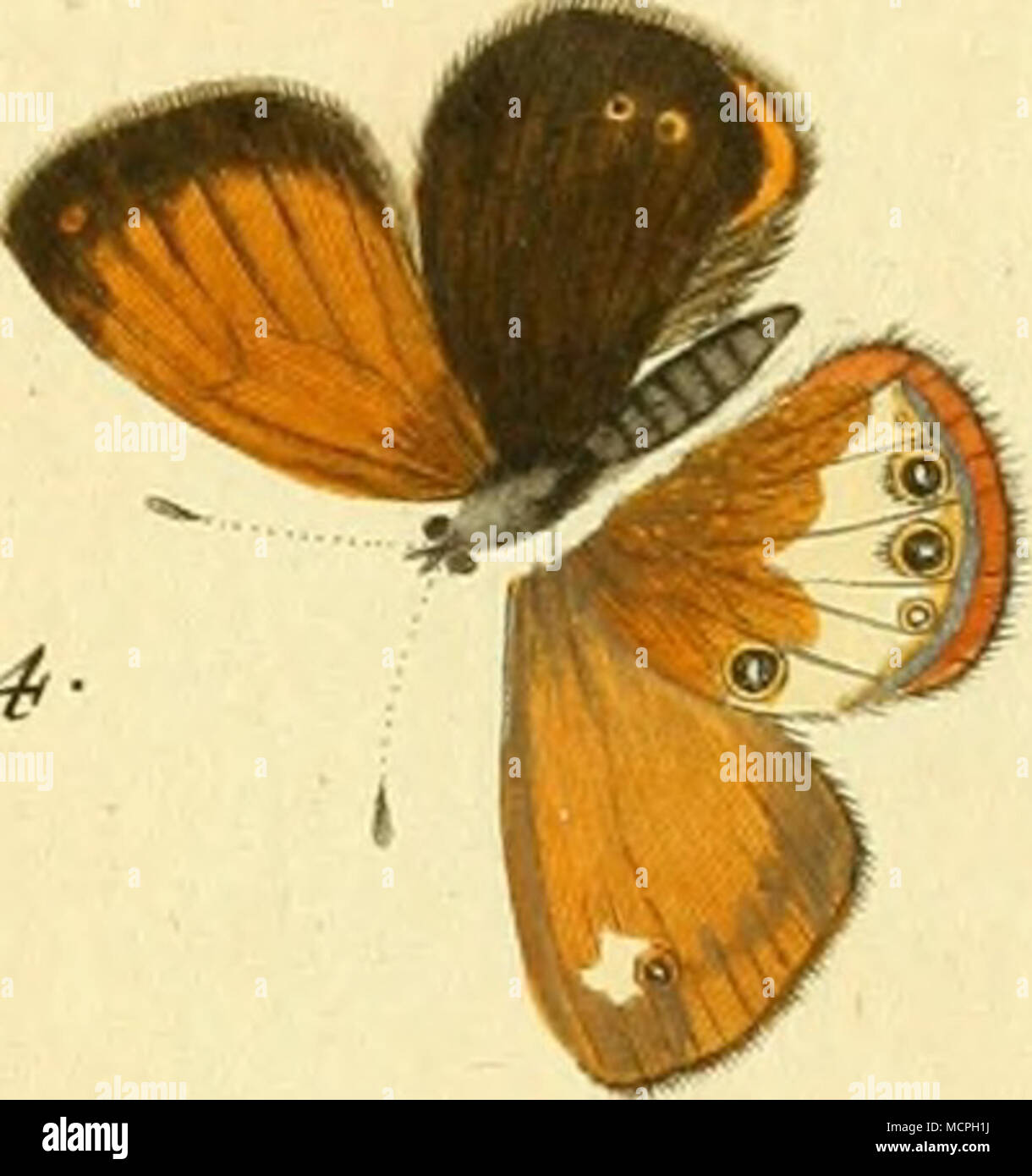 Europ book hi-res stock photography and images - Alamy