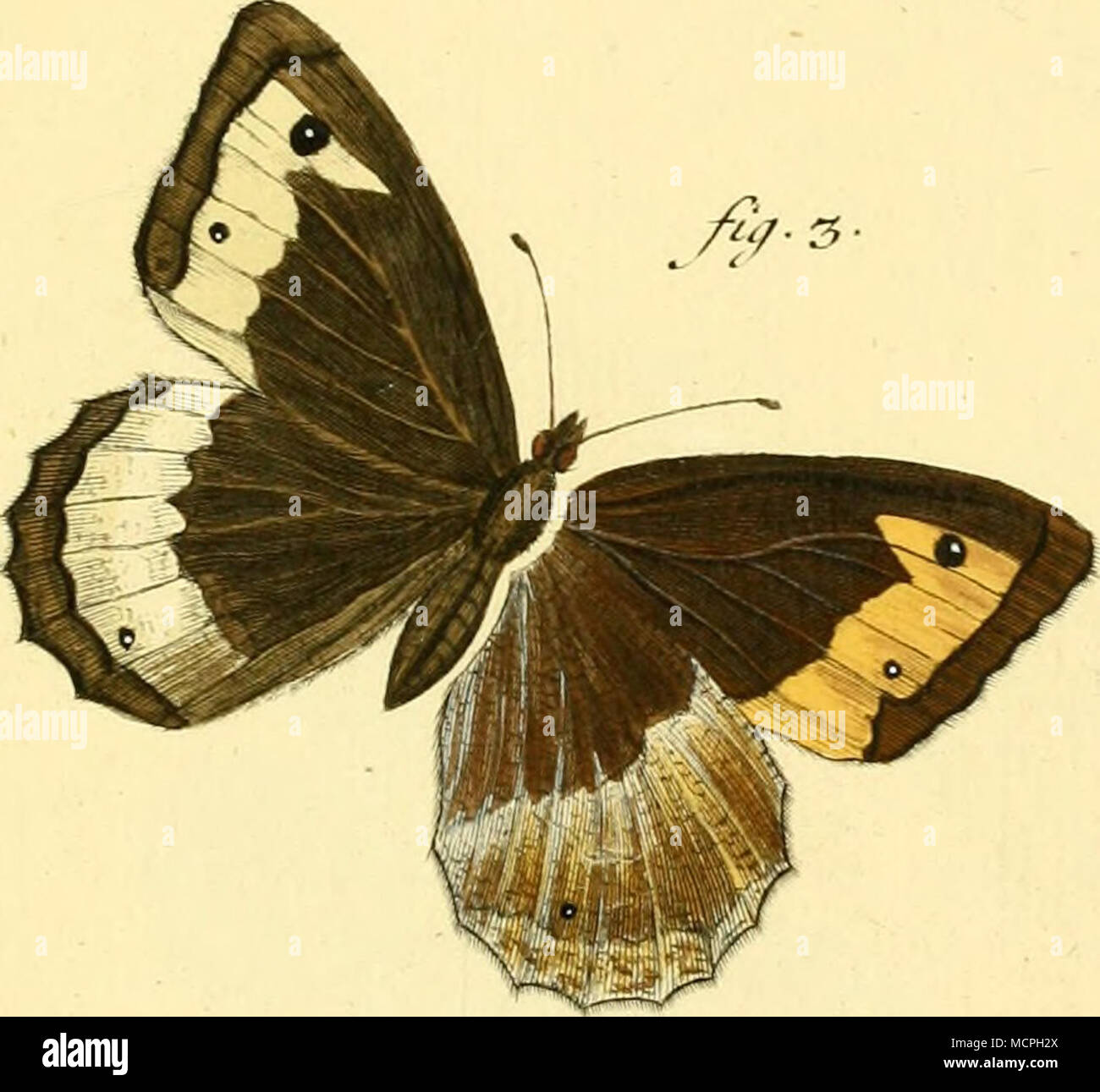 Evii hi-res stock photography and images - Alamy