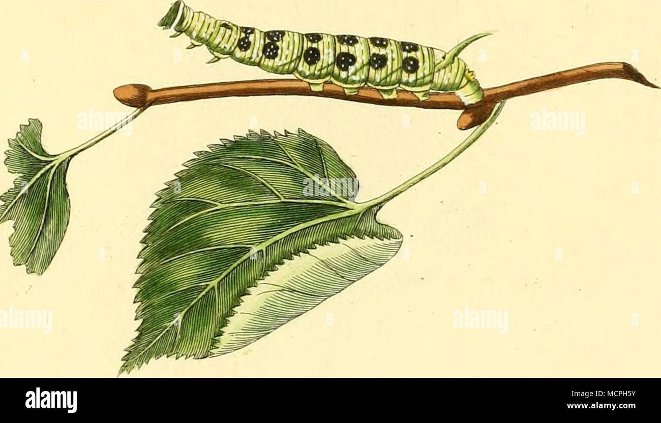 Jzi hi-res stock photography and images - Alamy