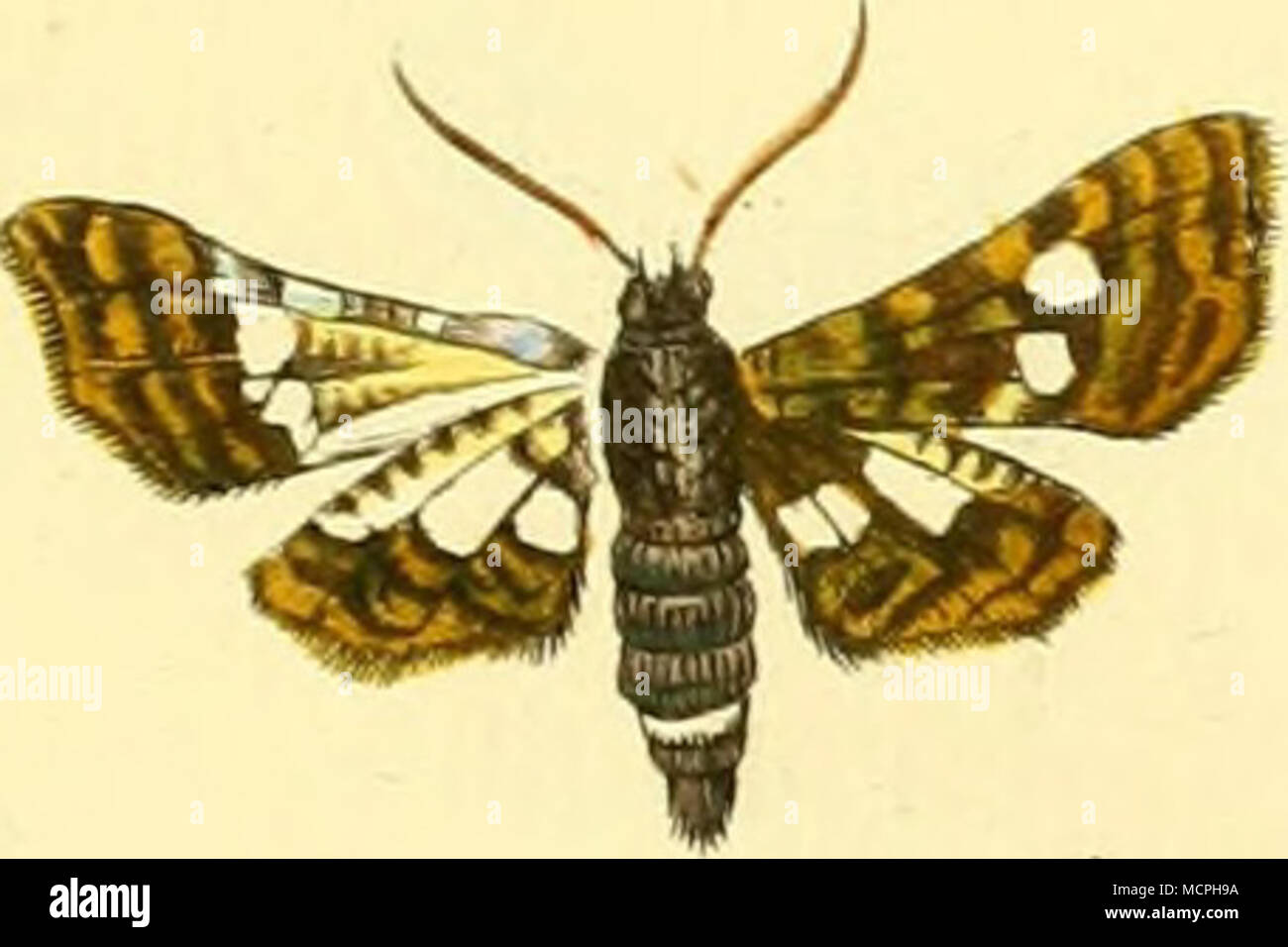 Uppl hi-res stock photography and images - Alamy