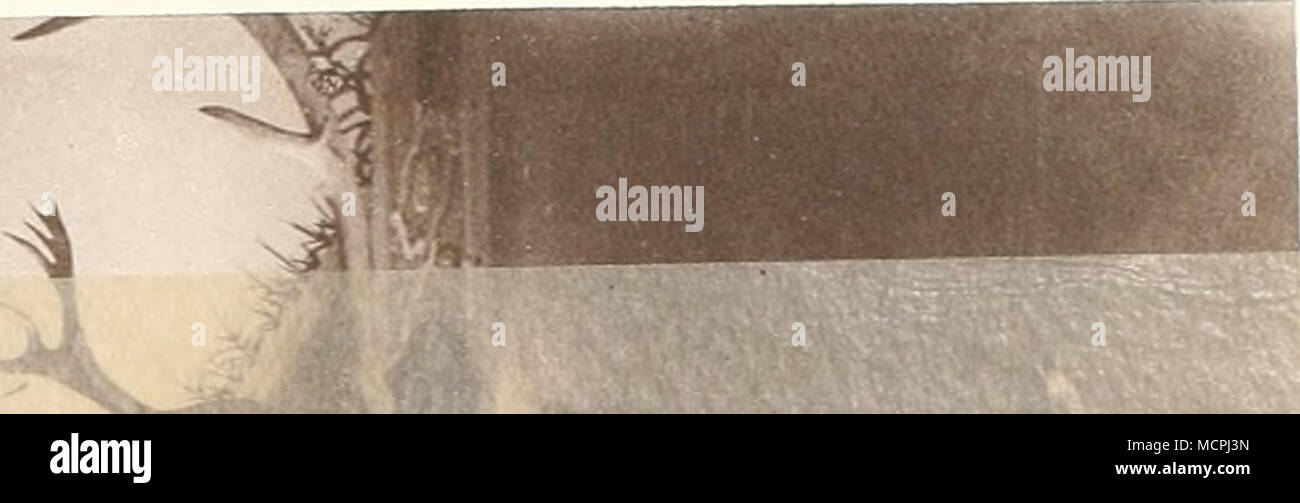 Ujyu hi-res stock photography and images - Alamy