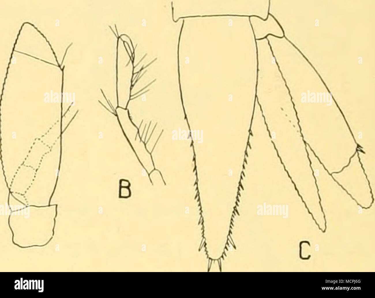 210 h p hi-res stock photography and images - Alamy