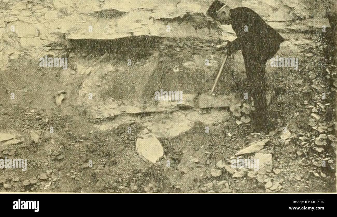 Lignit hi-res stock photography and images - Alamy