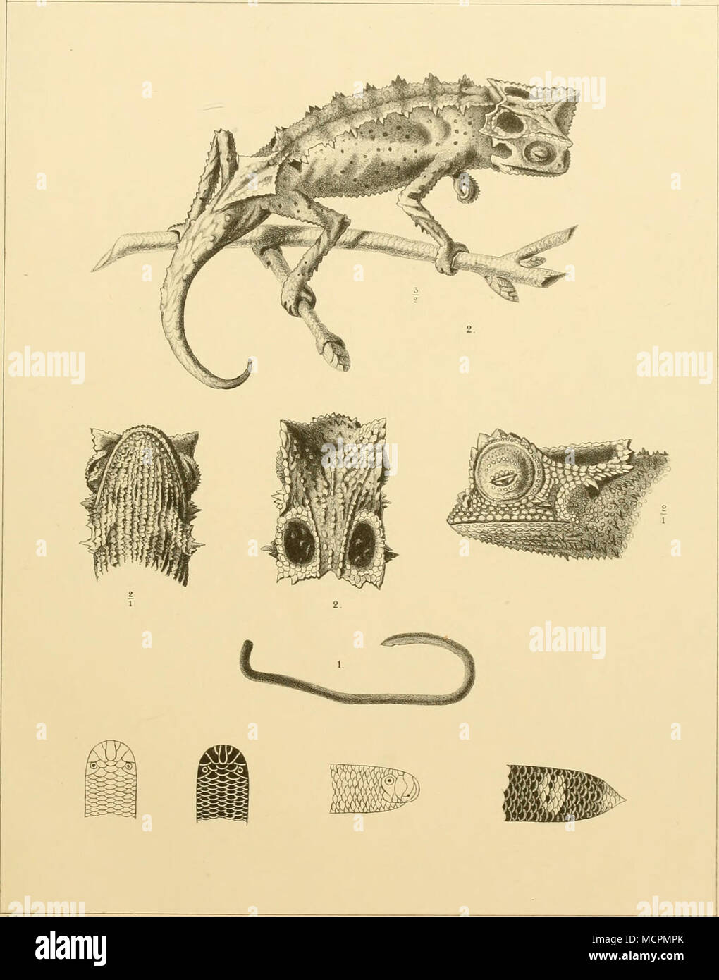 Tifr hi-res stock photography and images - Alamy