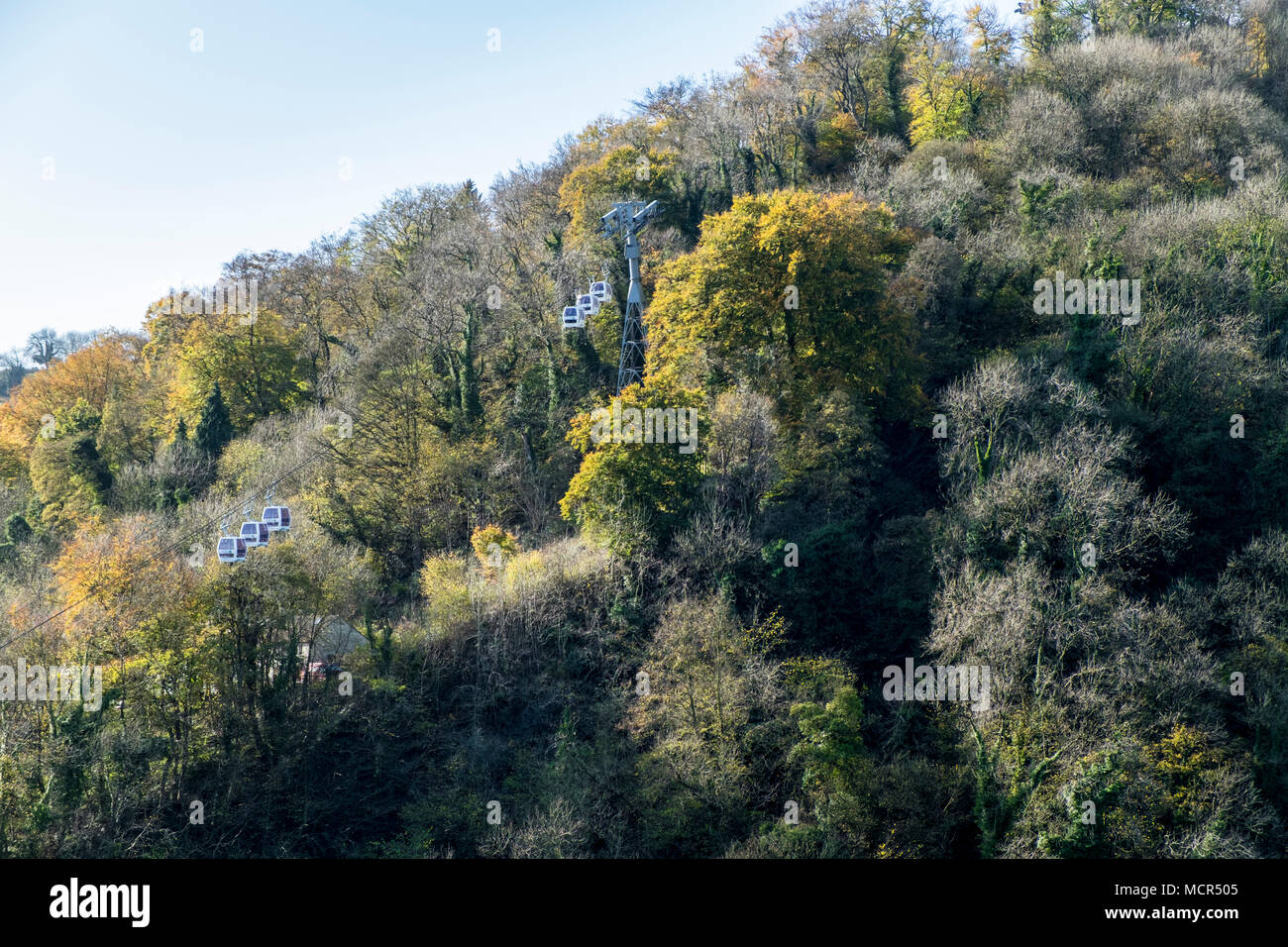Autumn trees in the hillside woodland at Masson Hill dwarfing the cable ...