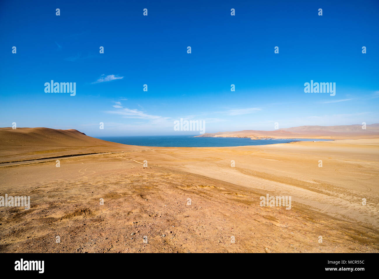 National Reserve of Paracas, Ica, Peru, South America Stock Photo - Alamy