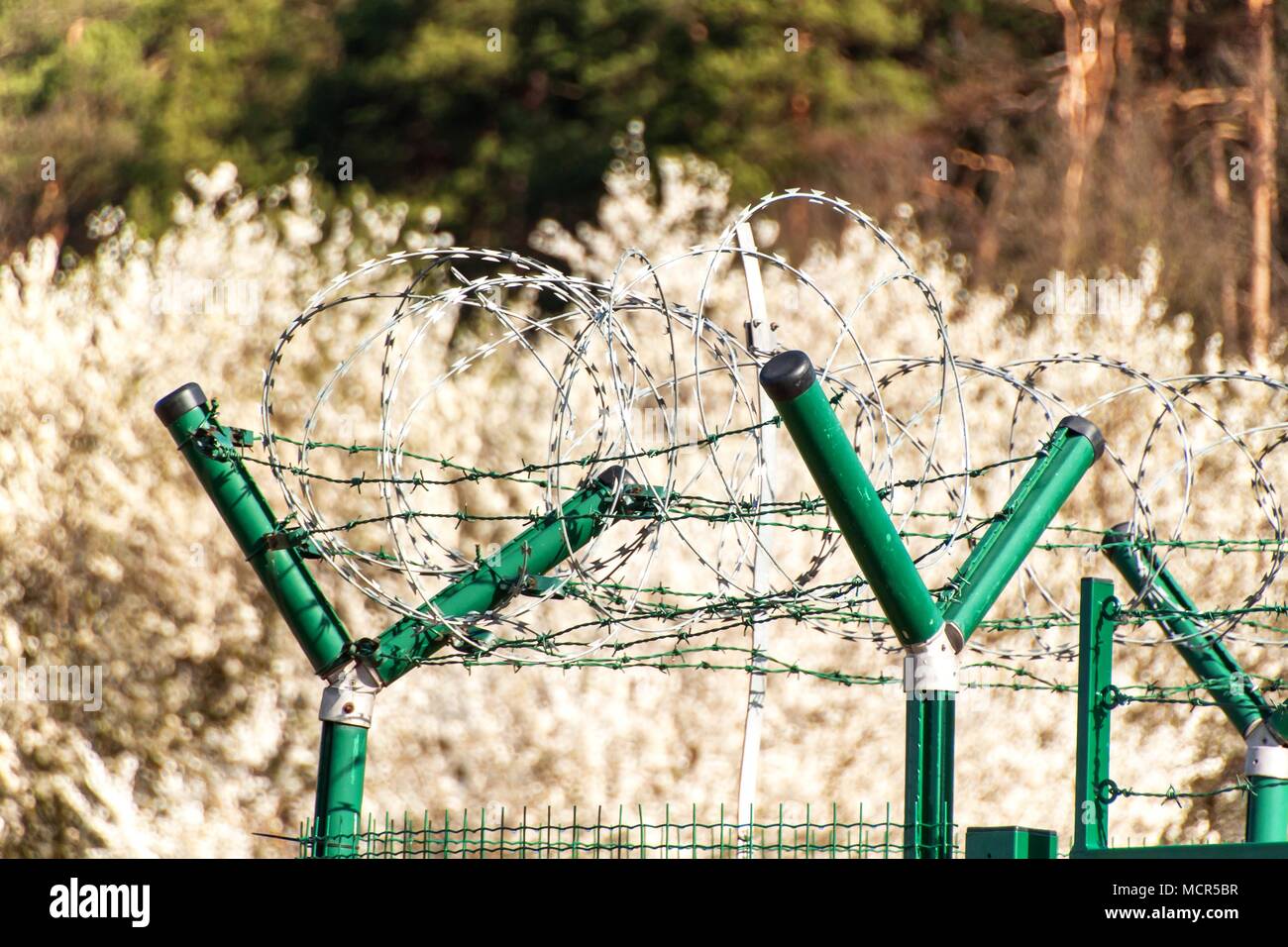 Razor wire injury hi-res stock photography and images - Alamy