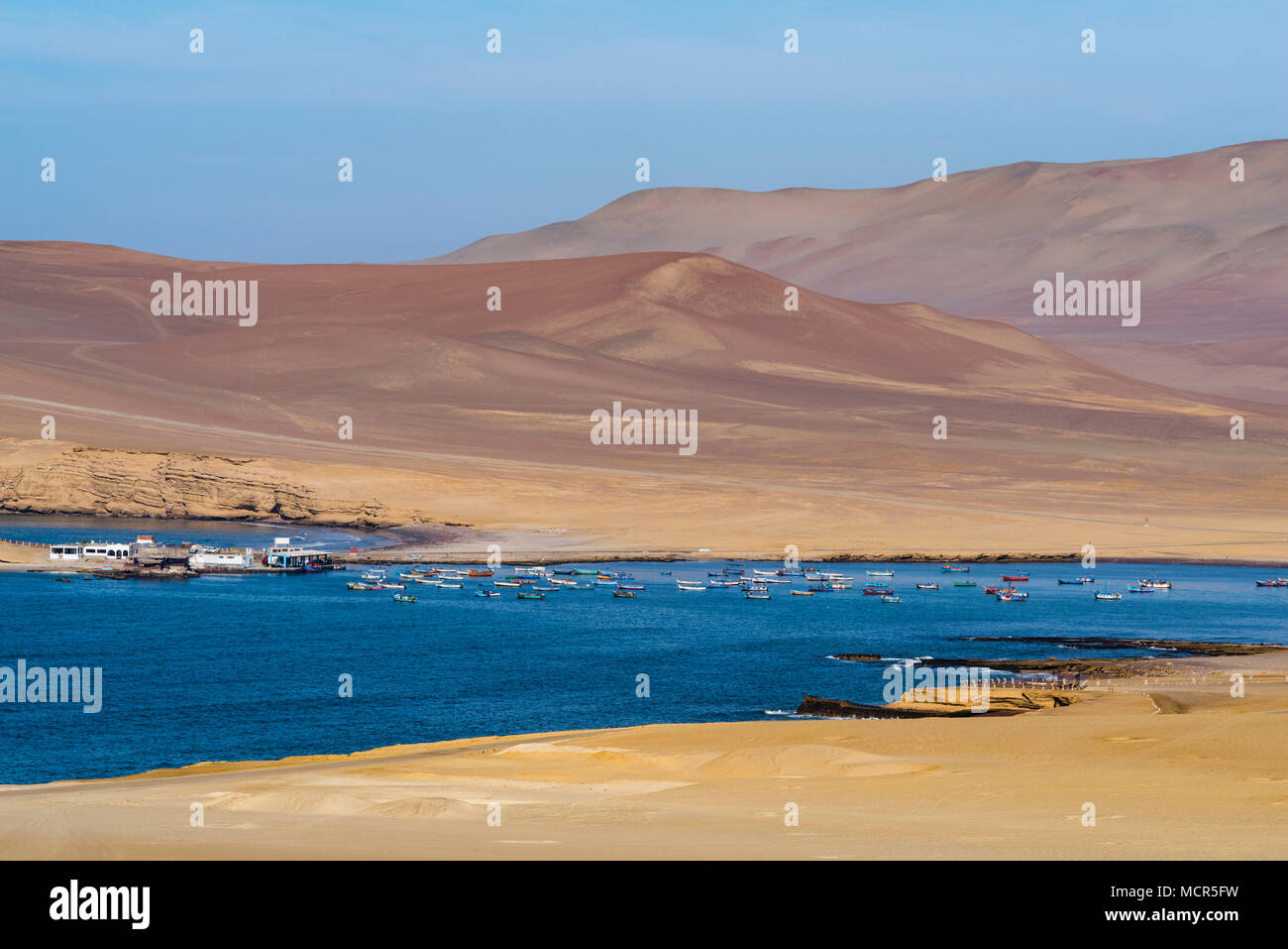 National Reserve of Paracas, Ica, Peru, South America Stock Photo - Alamy