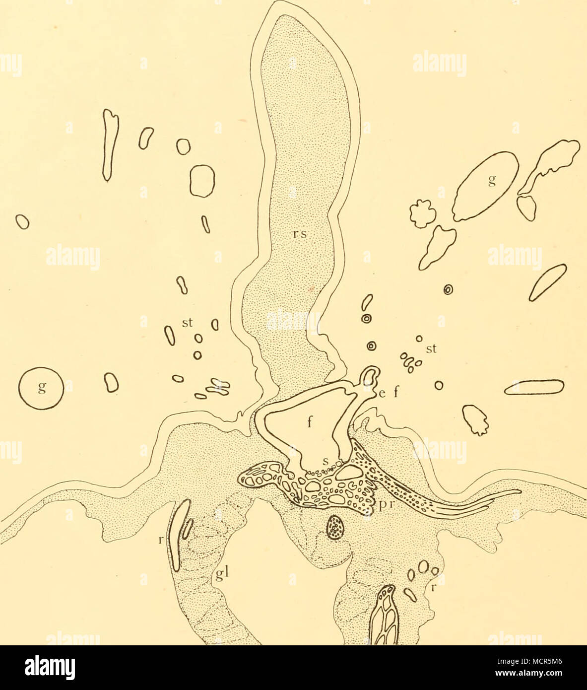 Sieve system hi-res stock photography and images - Alamy