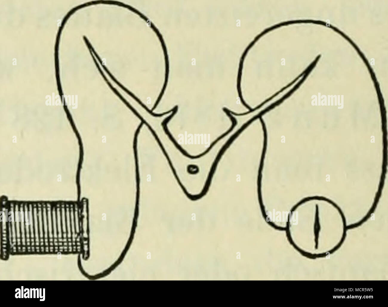 Der biedermann hi-res stock photography and images - Alamy