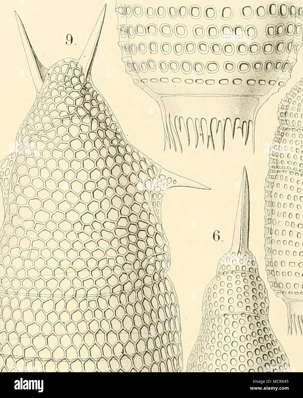 Oooo hi-res stock photography and images - Alamy