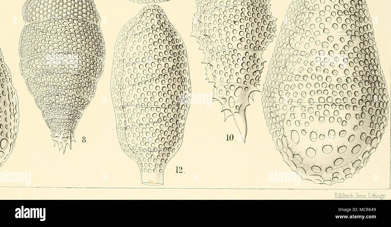 So cooc hi-res stock photography and images - Alamy