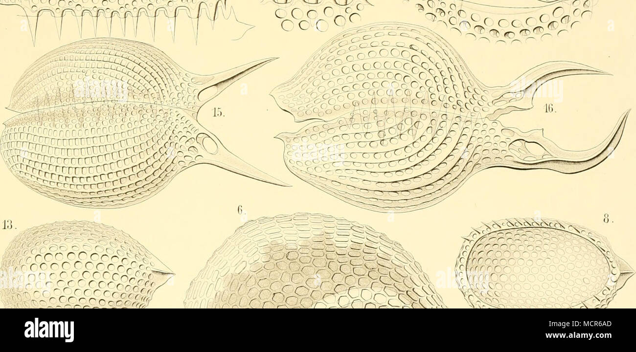 Kfj hi-res stock photography and images - Alamy