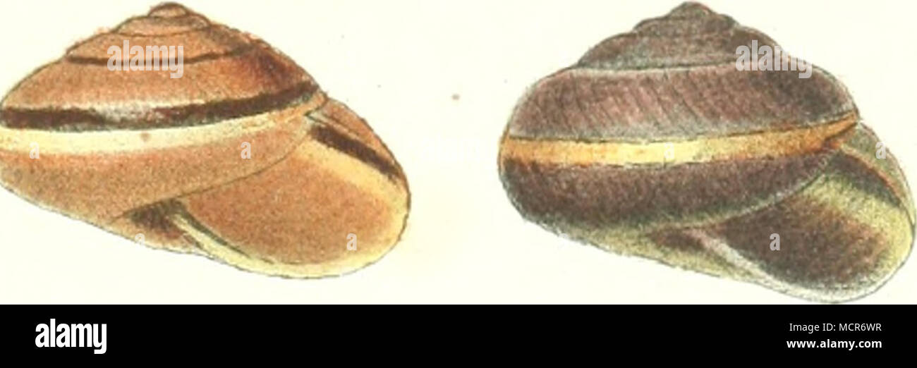 Iui hi-res stock photography and images - Alamy