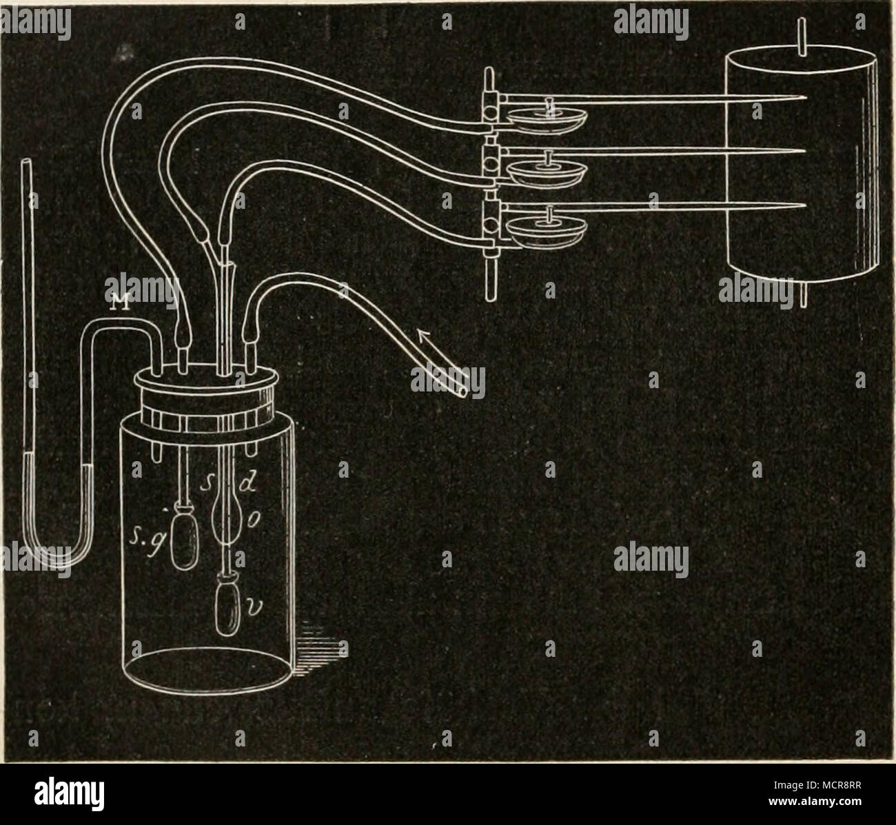Eichung hi-res stock photography and images - Alamy