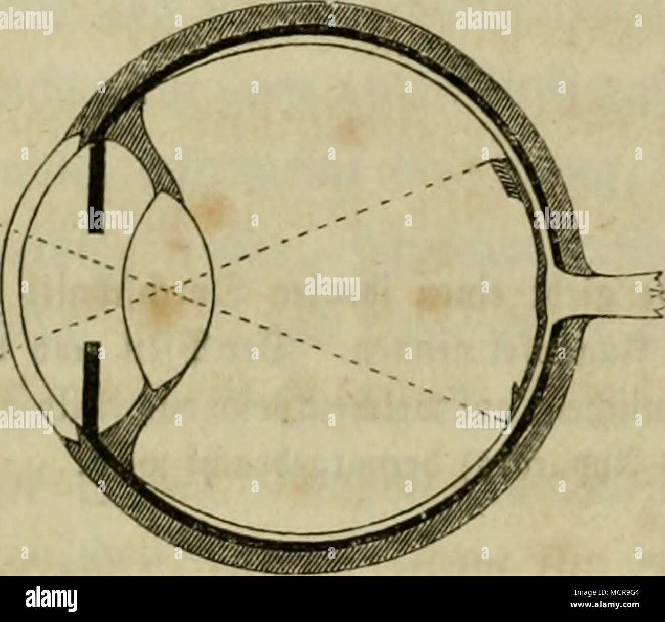 Vilam hi-res stock photography and images - Alamy