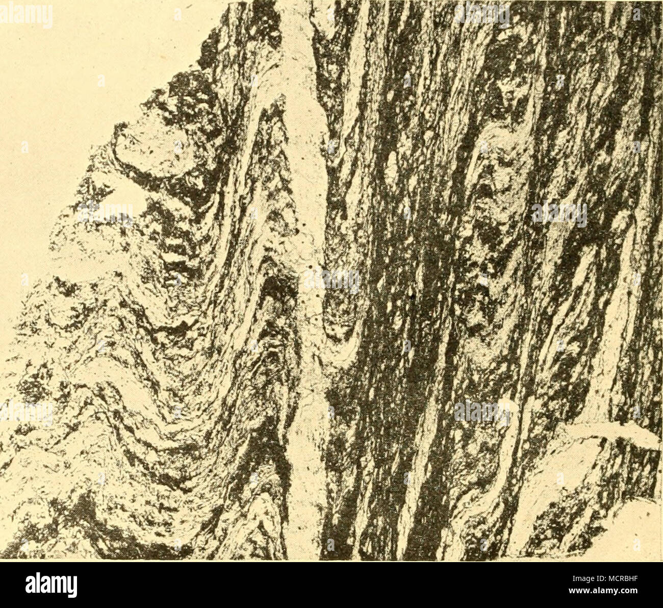 Tuff specimen hi-res stock photography and images - Alamy